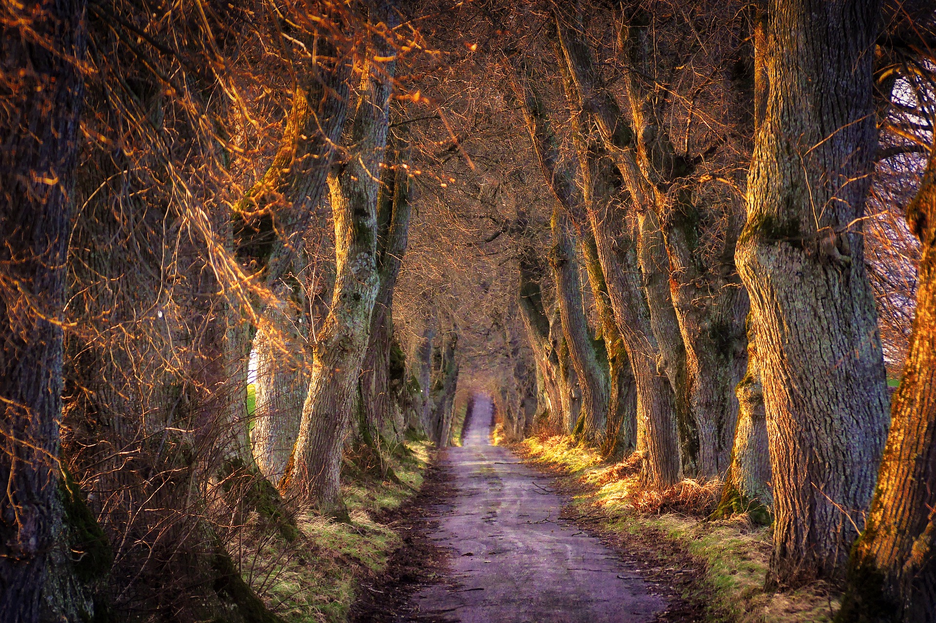 Make Straight Your Paths | St. Andrew's Presbyterian Church, Cobourg